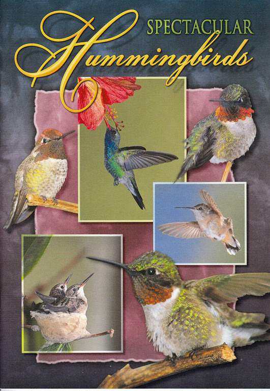 Hummingbirds - 7x10 Guide Book - 30120 – Penrod/Hiawatha
